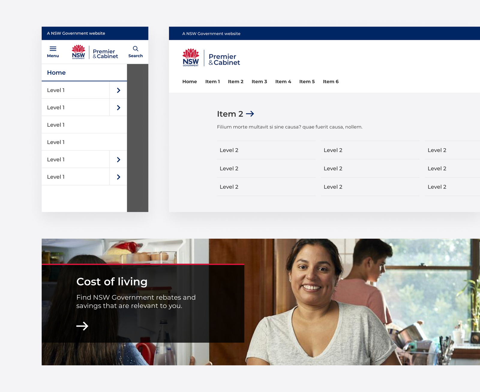 Department of Customer Service NSW: A unified design system | Pollen