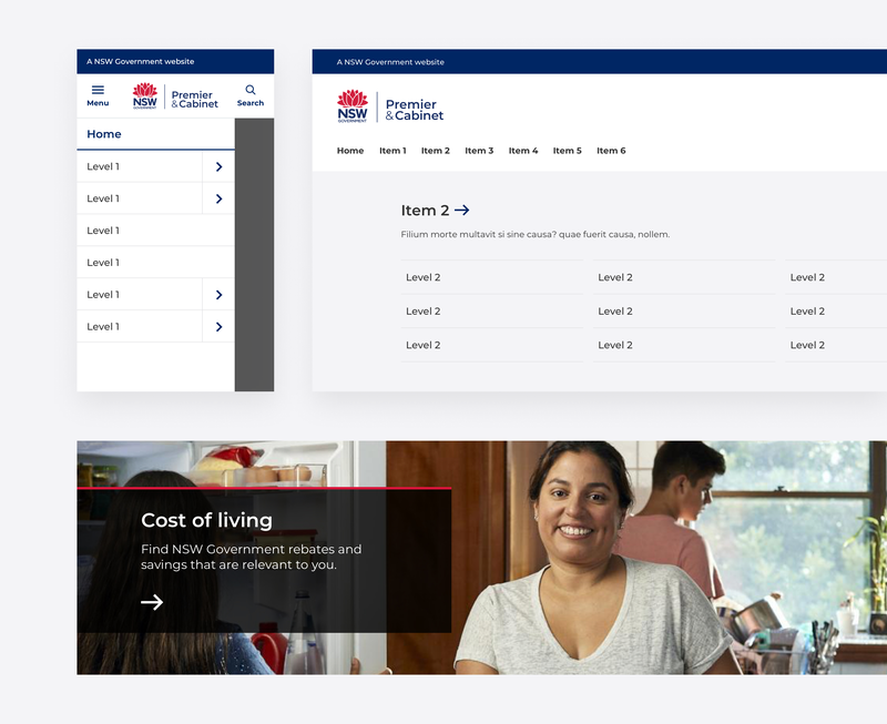 Department of Customer Service NSW: A unified design system | Pollen