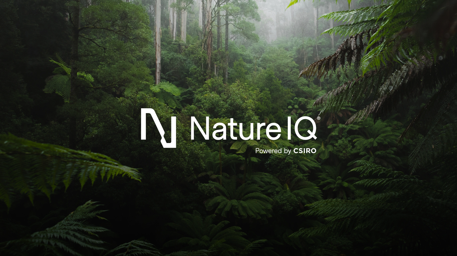 A brand for nature-positive change